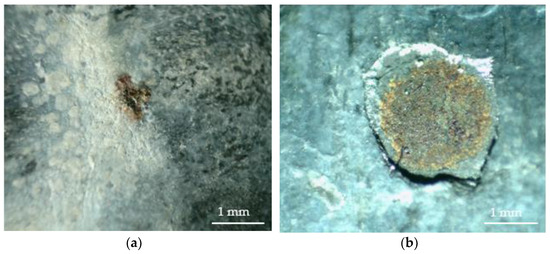 Characterization and Corrosion Behavior of Zinc Coatings for Two Anti ...