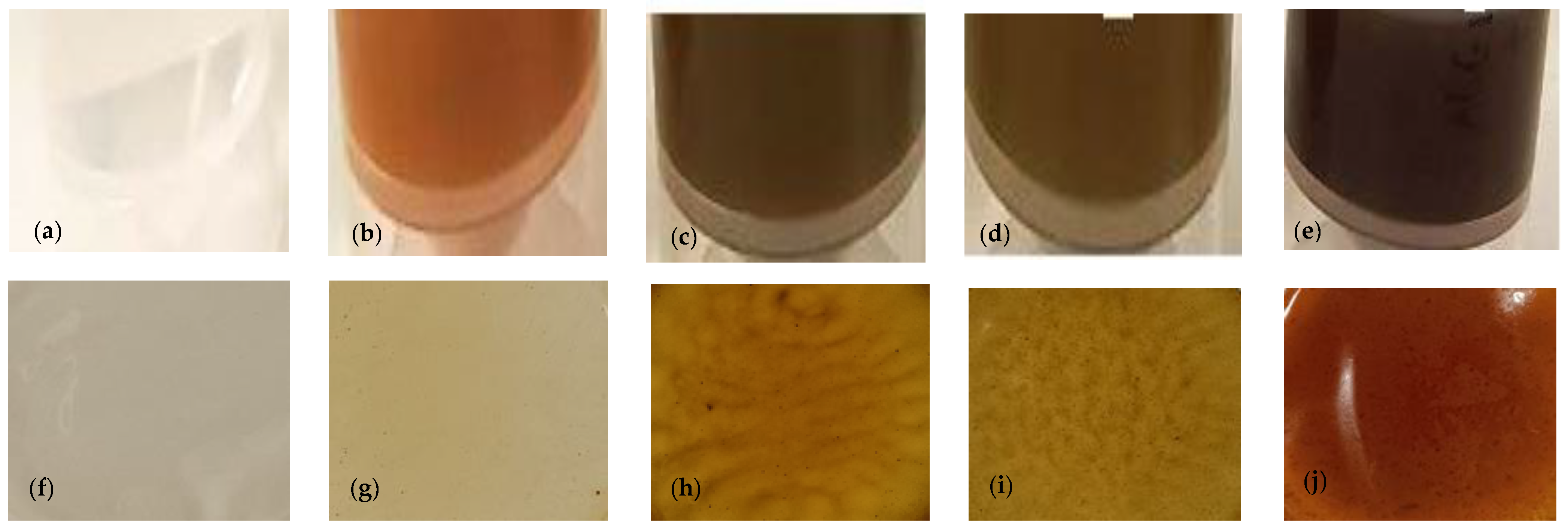 Evaluation of Antimicrobial and Antioxidant Activities of Alginate ...