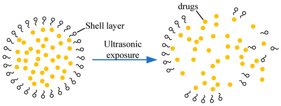 Preparation Method and Application of Nanobubbles: A Review