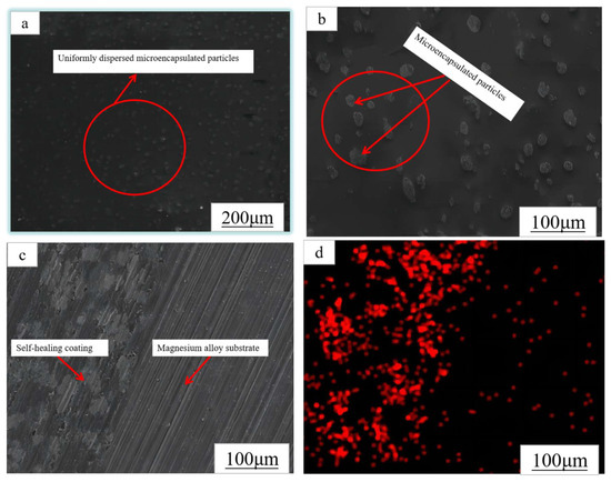 Research on the Corrosion Resistance of an Epoxy Resin-Based Self ...
