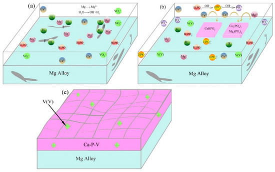 Coatings | Free Full-Text | Corrosion and Protection of Magnesium ...