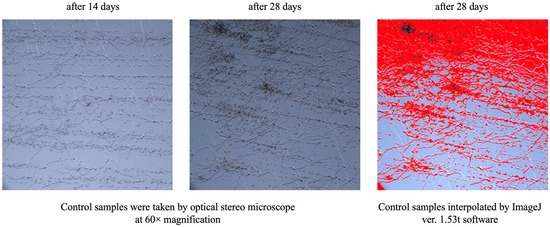 Polyalphaolefin Oil/MgO-20 Nanofluids Coating Shows Corrosion ...