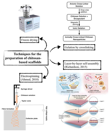 Application of Mineralized Chitosan Scaffolds in Bone Tissue Engineering