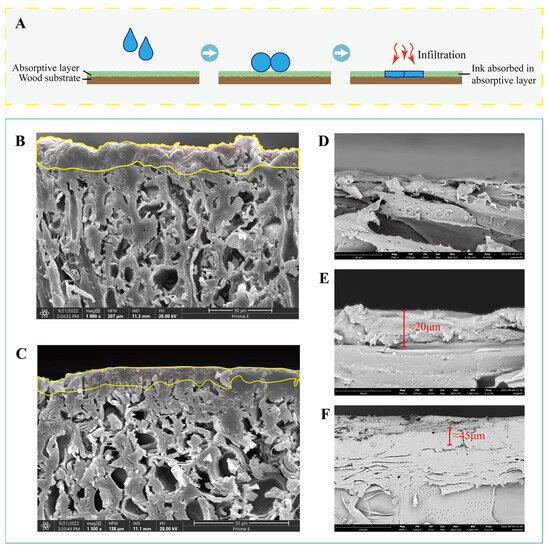 The Effect of Water-Based Primer Pretreatment on the Performance of ...