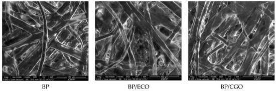 Bioactive Paper Packaging for Extended Food Shelf Life