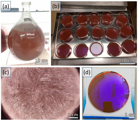Study of the Application of Recycled Gold Nanoparticles in Coatings for ...