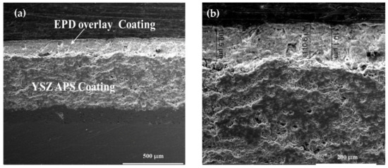 A Direct Laser Sintering Approach for the Electrophoretic Deposition ...