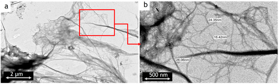 Nanocellulose Coating on Kraft Paper