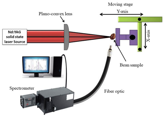 Authentication of Roasted Coffee Beans via LIBS: Statistical Principal ...