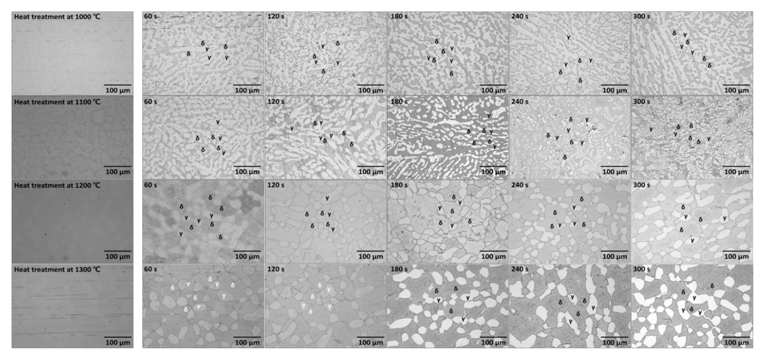 Effect of Microstructure on Electroless Ni Plating Behavior on Super ...