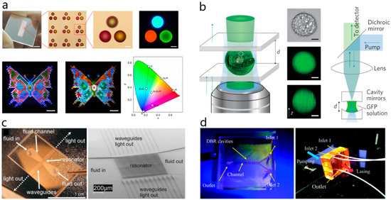 Excitation Threshold Reduction Techniques for Organic Semiconductor Lasers: A Review