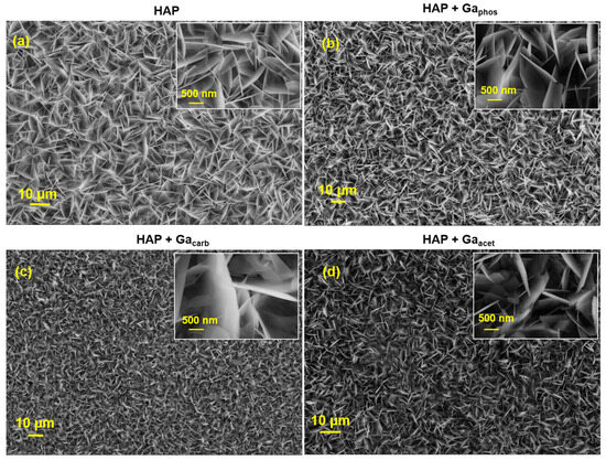 Designing Gallium-Containing Hydroxyapatite Coatings on Low Modulus ...