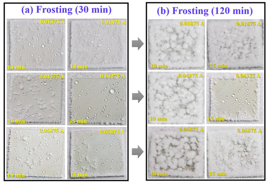 Effects of the Second Anodization Parameters on the Hydrophobicity and ...