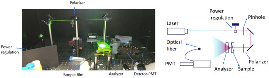 Light Scattering through a Drying Coating