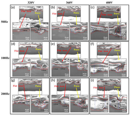 Coatings | Free Full-Text | Correlation between Microstructural Properties and Electric ...