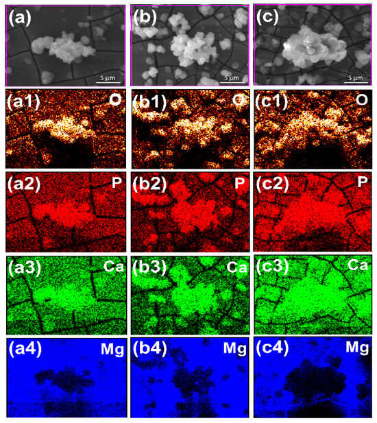 Effect of Zinc Content on Powder Characteristics, Porosity ...