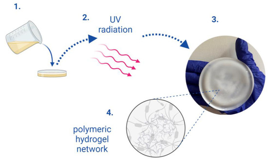 Analysis of Surface and Physicochemical Properties of Novel Hydrogel ...