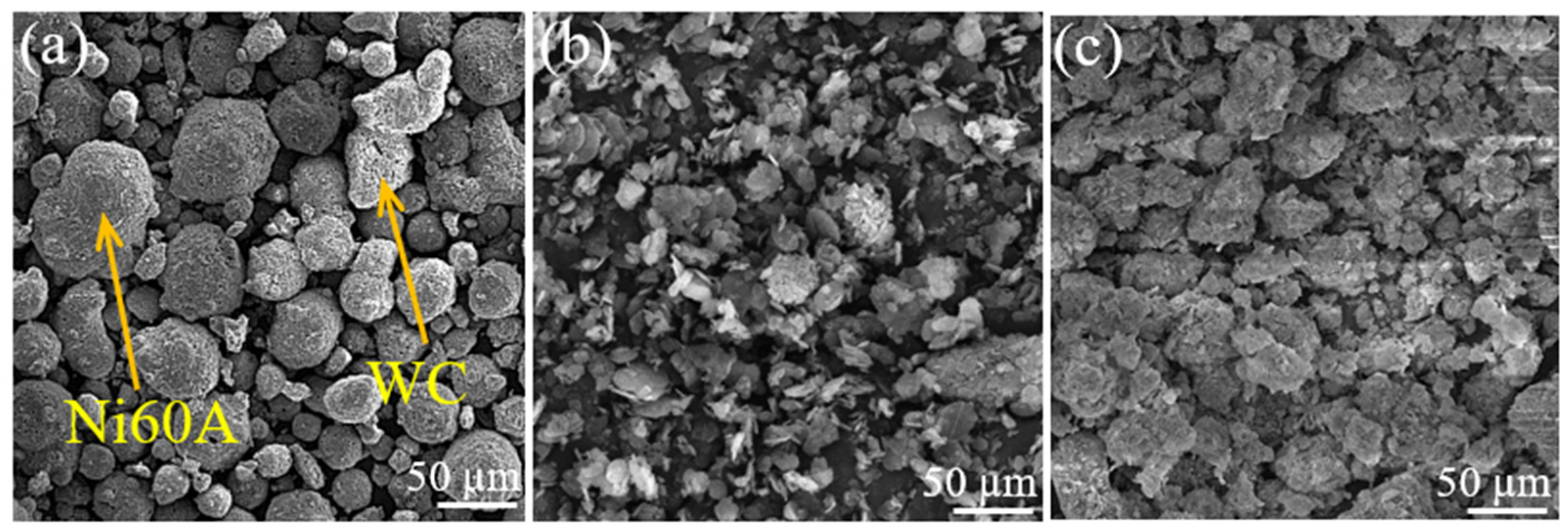 The Effect of an Ultrasonic Field on the Microstructure and ...