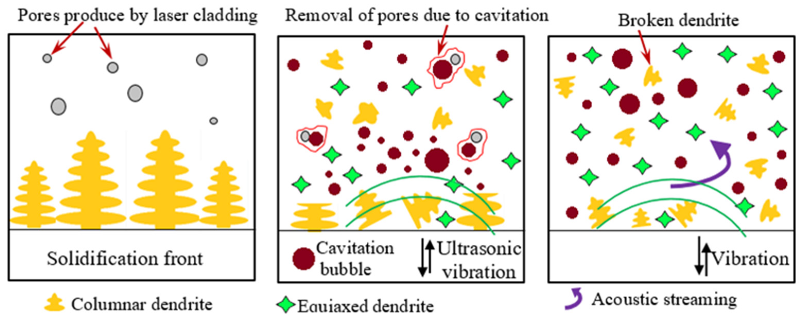 The Effect of an Ultrasonic Field on the Microstructure and ...
