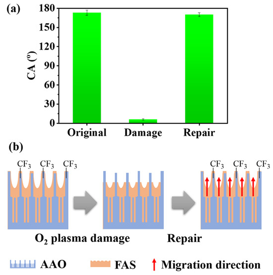 A Superhydrophobic Anti-Icing Surface with a Honeycomb Nanopore Structure
