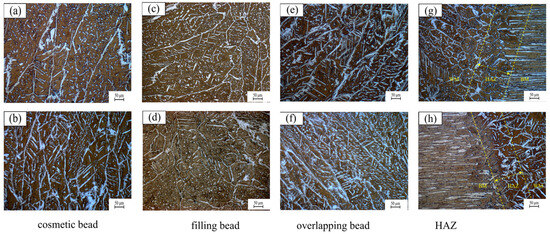 Effect of Alternating Magnetic Field on the Organization and Corrosion ...