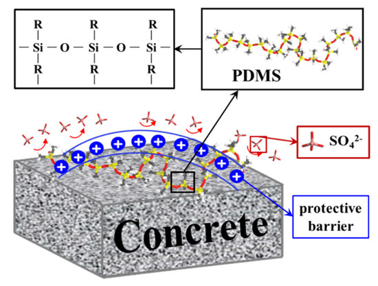 Nanoscale Insights into the Protection of Calcium Silicate Hydrate by ...