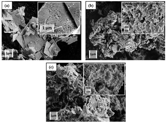 Structural Transition in the Growth of Copper Terephthalate Metal ...