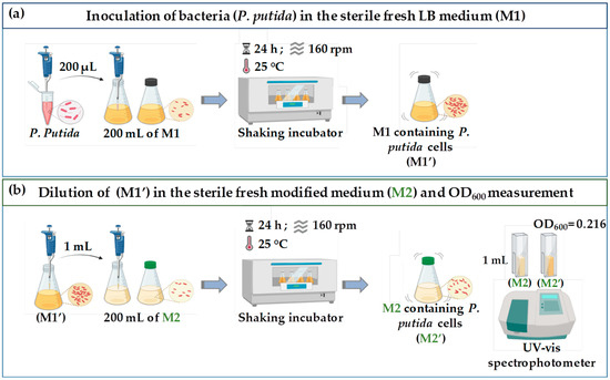 Antibacterial and Photocatalytic Properties of ZnO Nanostructure ...