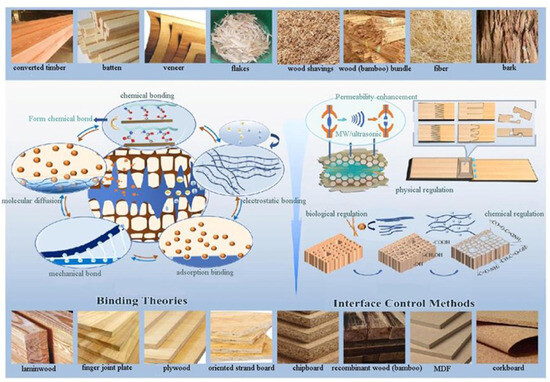 Research Progress of Reinforced Modification of Fast-Growing Wood