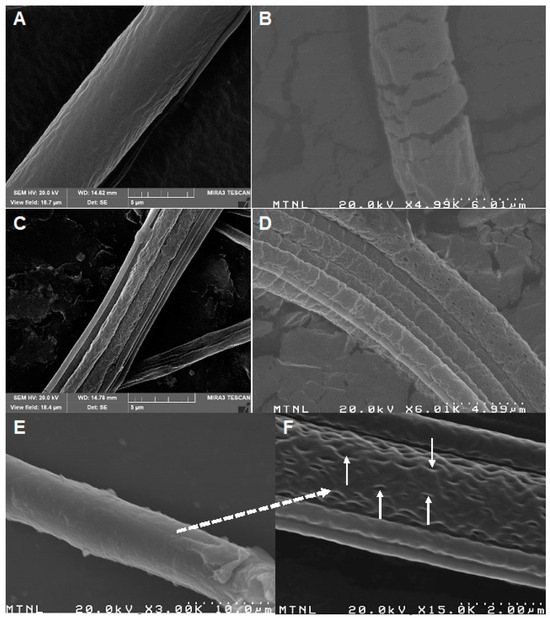 Quorum Quenching Nanofibers for Anti-Biofouling Applications