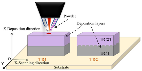 Study on Microstructure and Properties of Additive-Manufactured TC4ELI ...