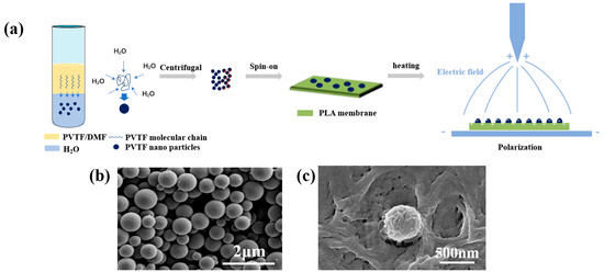 PVTF Nanoparticles/PLA Electroactive Degradable Membrane for Bone ...