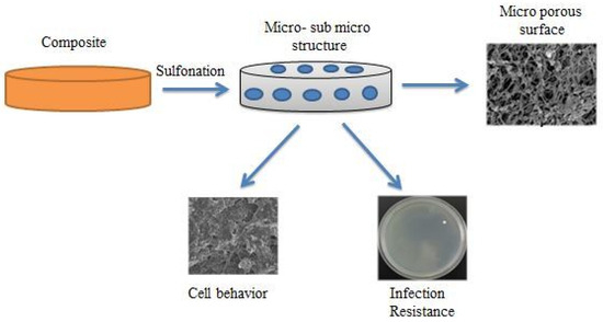 Sulfonated Molecules and Their Latest Applications in the Field of ...