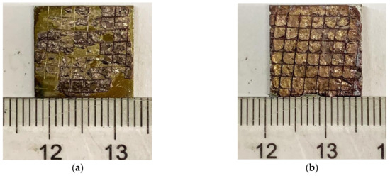 Corrosion Performance of Epoxy/Sulfur–Selenium Coating on Q235 Steel