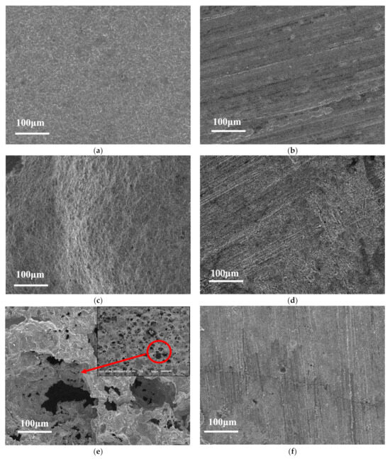 Corrosion Performance of Epoxy/Sulfur–Selenium Coating on Q235 Steel