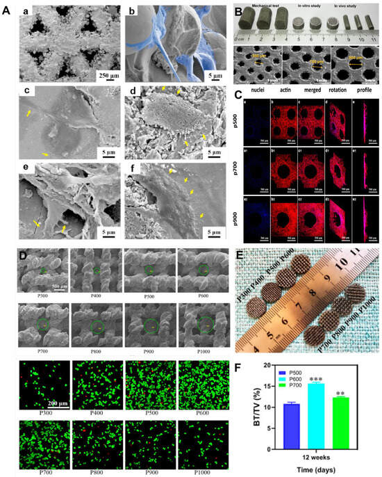 Effect of 3D-Printed Porous Titanium Alloy Pore Structure on Bone ...