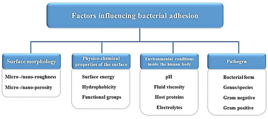 Advances in Antimicrobial Coatings for Preventing Infections of Head ...