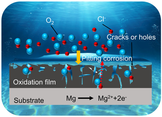Influence of Anodic Oxidation on the Organizational Structure and ...