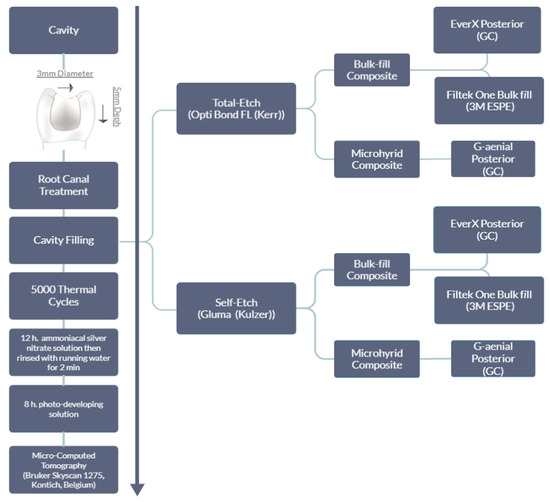 Evaluation of Microvoid and Microleakage Potential of Bulk-Fill Resin ...