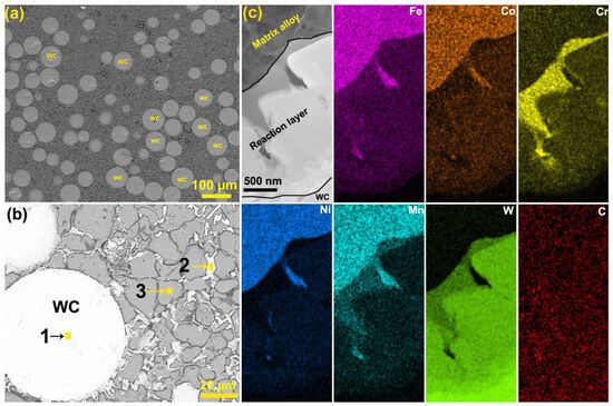 Coatings | Free Full-Text | Understanding the Fracture Failure Mechanism of WC Particle ...