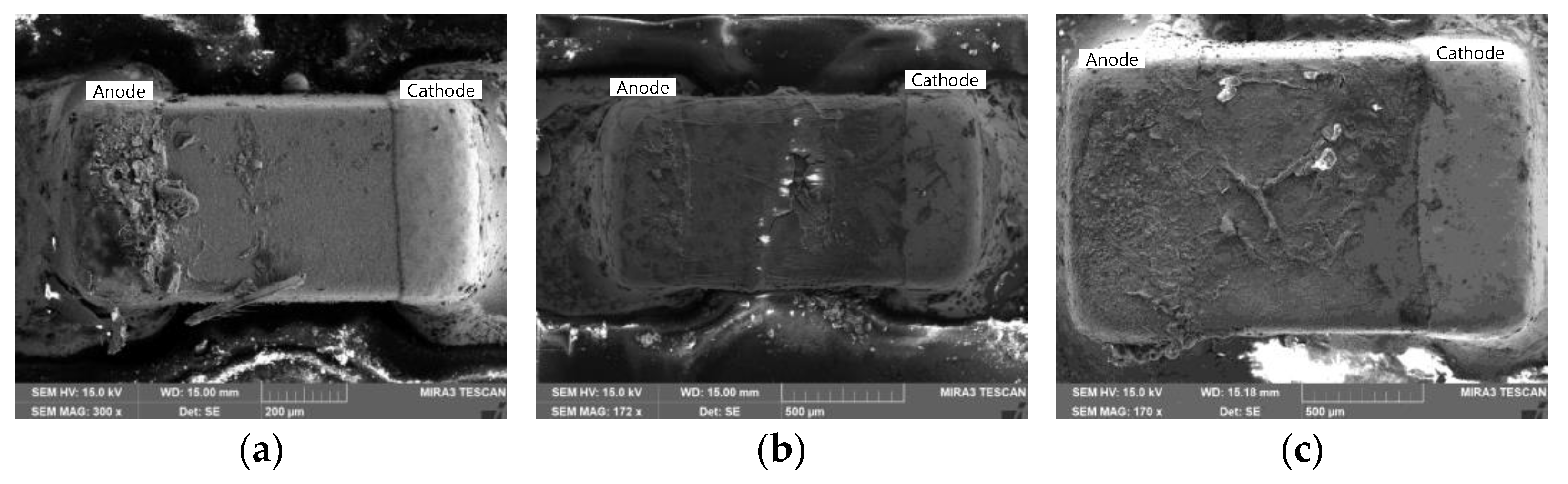 Effect of Conformal Coating on Electrochemical Migration Behavior of ...