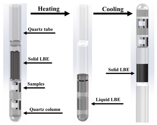 Microstructure, Mechanical Properties, and Lead–Bismuth Eutectic ...