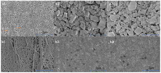Aging Behavior of Polyethylene and Ceramics-Coated Separators under the ...