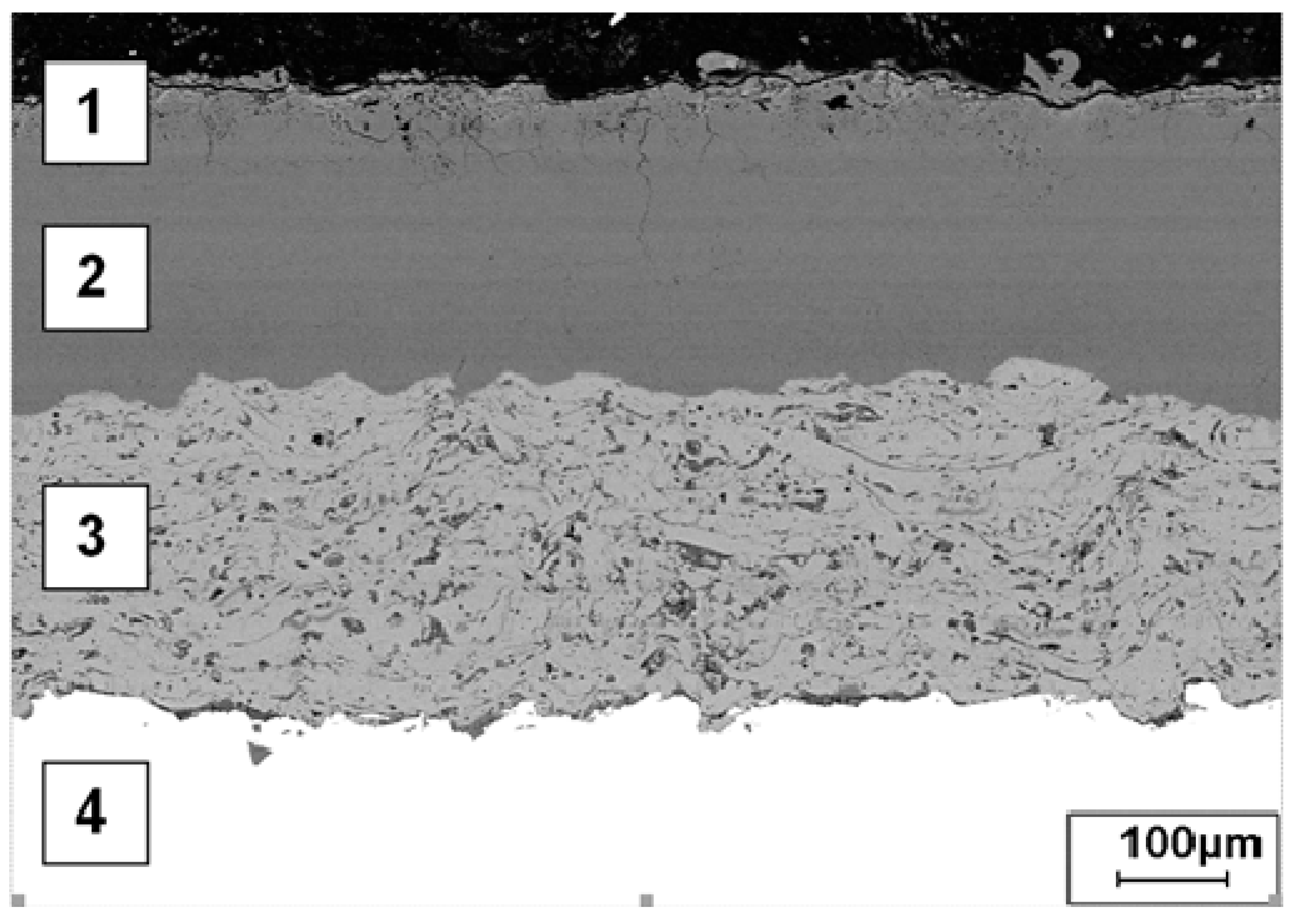 Coatings | Free Full-Text | The Tribological Properties of Plasma ...
