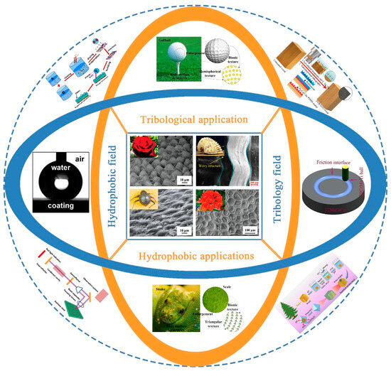 Hydrophobic and Tribological Properties of Biomimetic Interfaces
