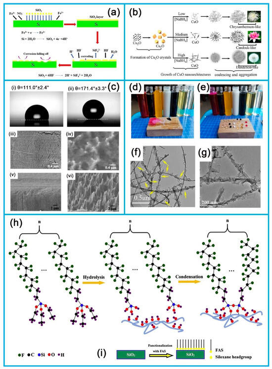 Hydrophobic and Tribological Properties of Biomimetic Interfaces