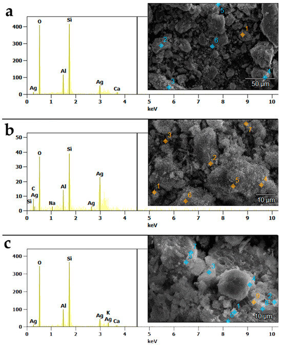 Synthesis, Characterization, and Cytotoxicity Evaluations of Silver–Zeolite Nanocomposite