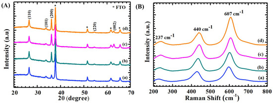 Cobalt Ion-Modified Titanium Oxide Nanorods: A Promising Approach for ...