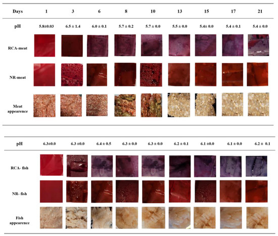 Development of pH Indicator Composite Films Based on Anthocyanins and ...