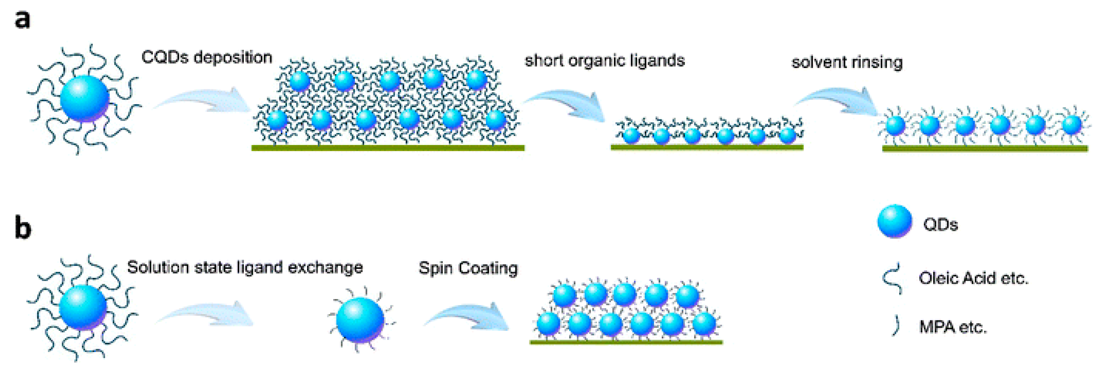 PbS Colloidal Quantum Dots: Ligand Exchange in Solution